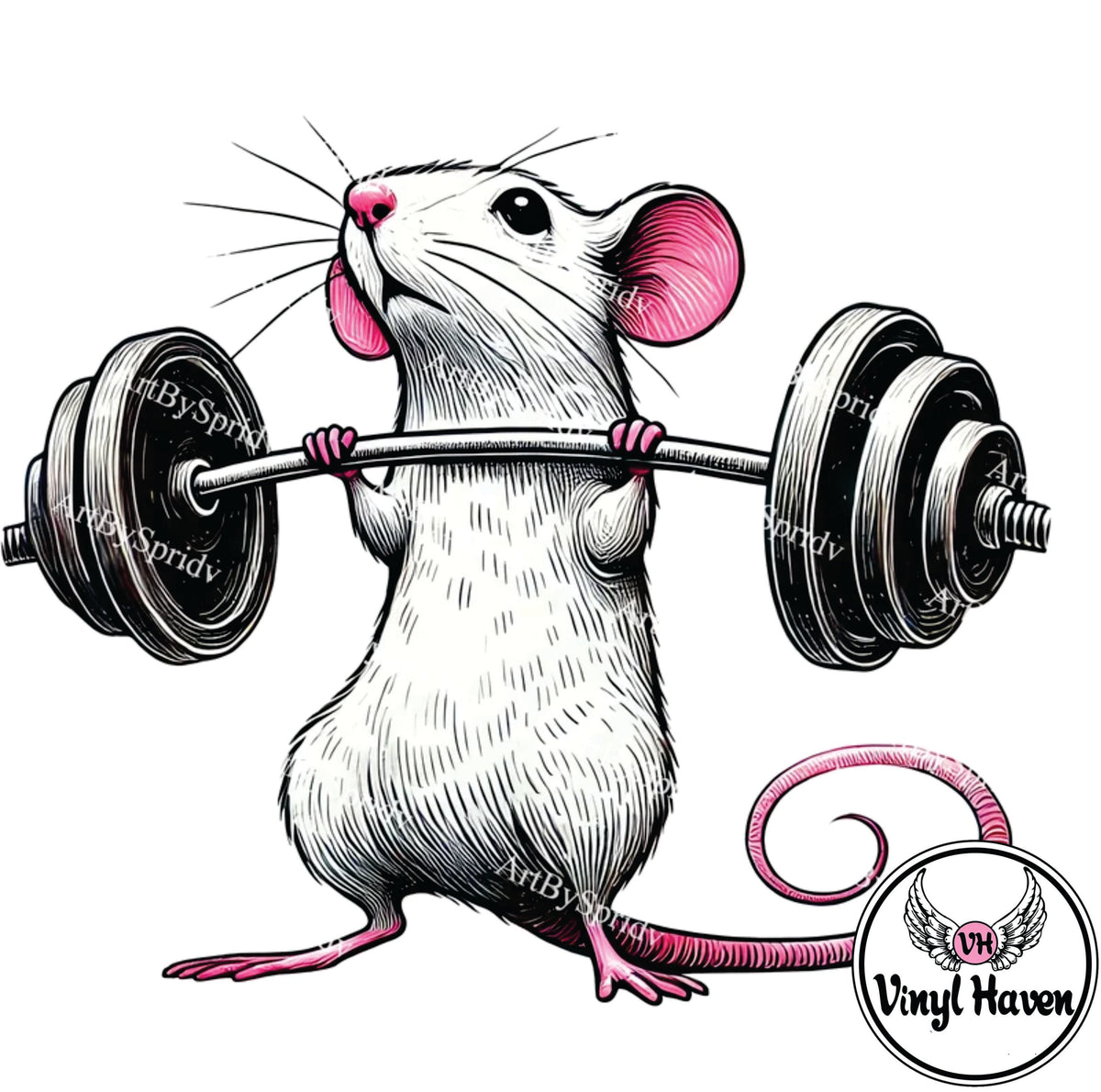DTF * Gym/Workout * Gym Rat – Cheer Haven LLC.